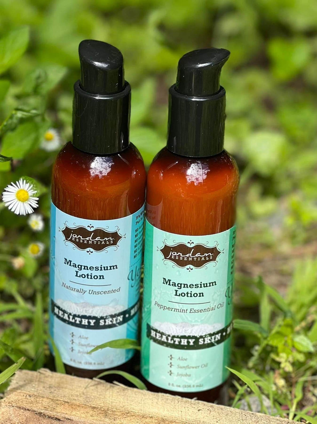 Shop our Wellness Toolbox – Wellness Lounge